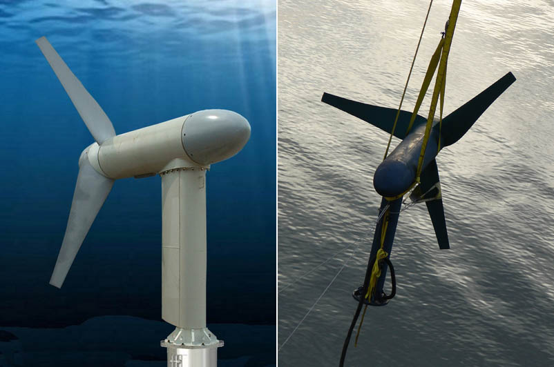 RITE Project : NYCHPA