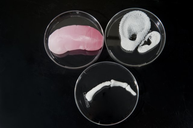 Synthetically Organic: Printed Tissue – Skeptics Seeking Solutions