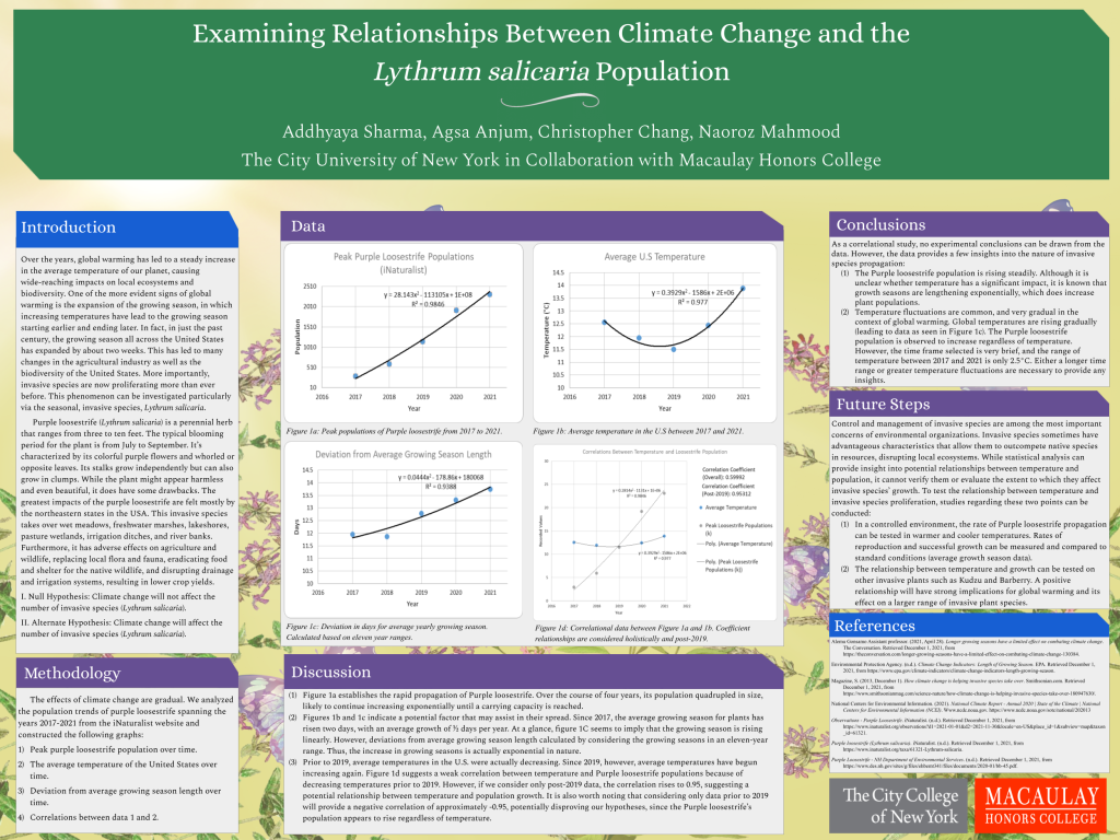 BioBlitz – STEAM Festival 2021